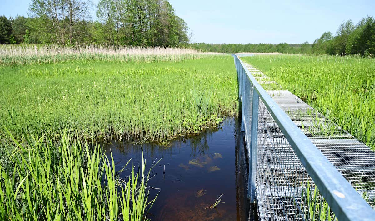 Floating work platforms